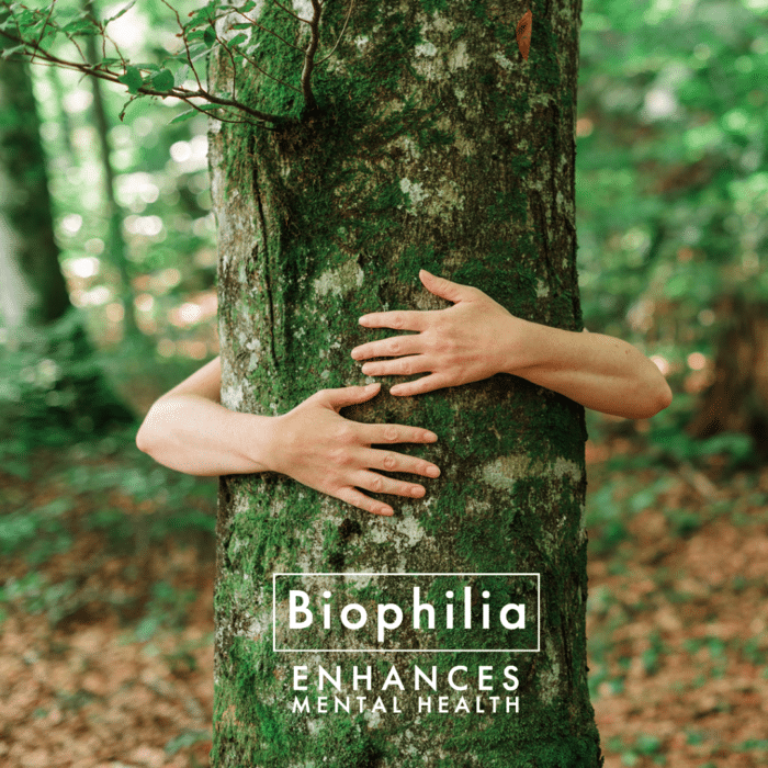 Biophilia In Design: Enhancing Mental Health